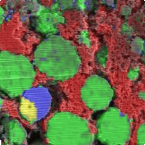 Optimize Battery Metal Recovery with TESCAN TIMA