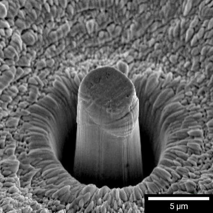 TESCAN AMBER X: Next-Gen Plasma FIB-SEM for Materials Research