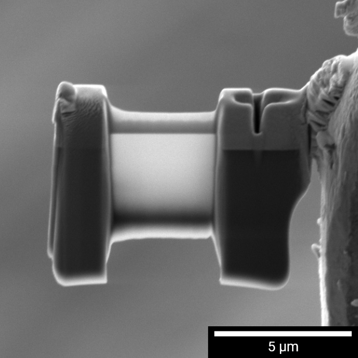 TESCAN AMBER X: Next-Gen Plasma FIB-SEM for Materials Research
