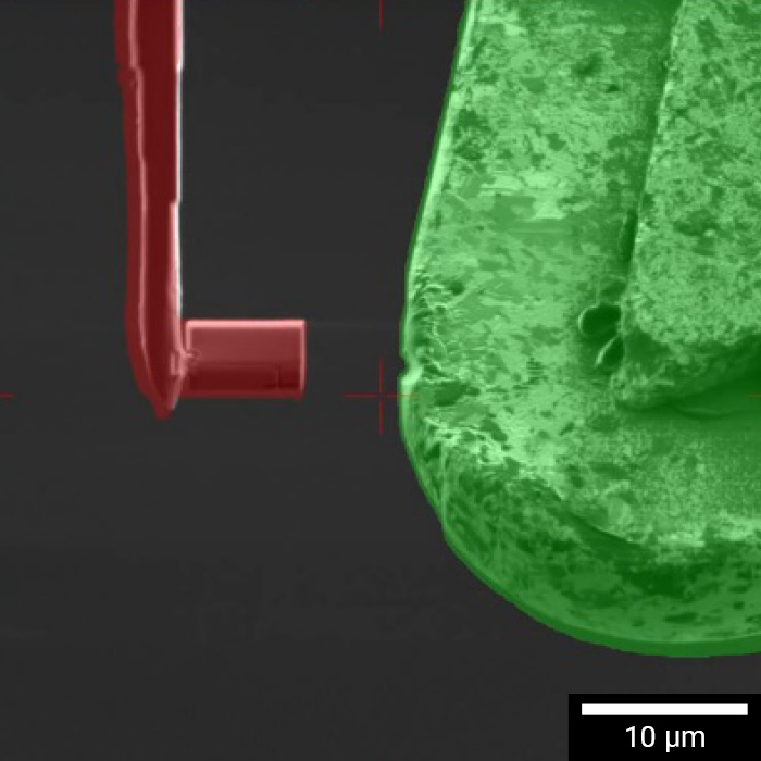TESCAN AMBER X: Next-Gen Plasma FIB-SEM for Materials Research
