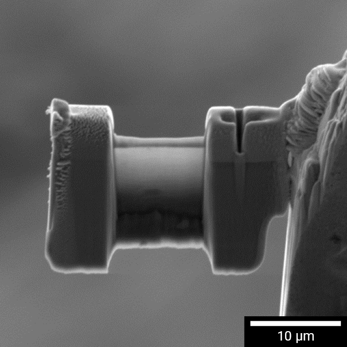 TESCAN AMBER X: Next-Gen Plasma FIB-SEM for Materials Research