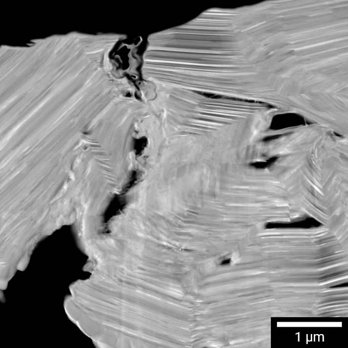 Visualize Battery Components in 3D | TESCAN Battery Characterization