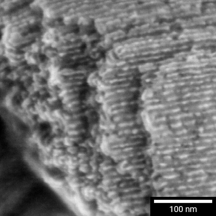 TESCAN MIRA XR | High-Resolution SEM for Materials Research & Industry