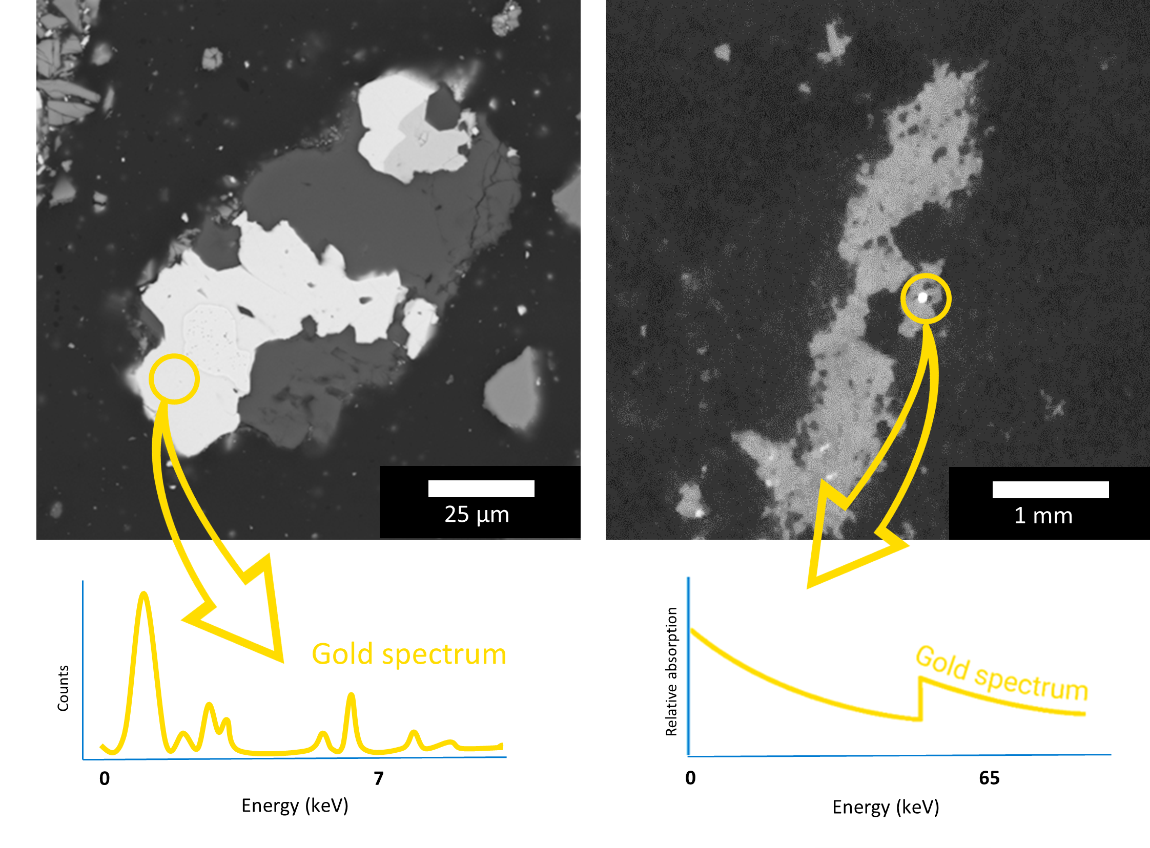 Is TESCAN’s Spectral CT for Micro-CT Comparable to Energy Dispersive ...