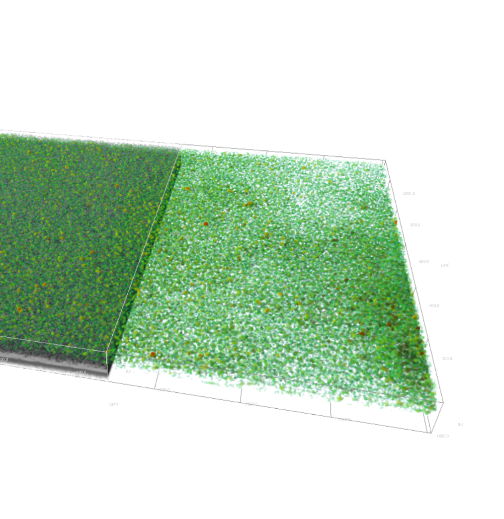 Micro-CT Solutions for Battery Imaging | TESCAN